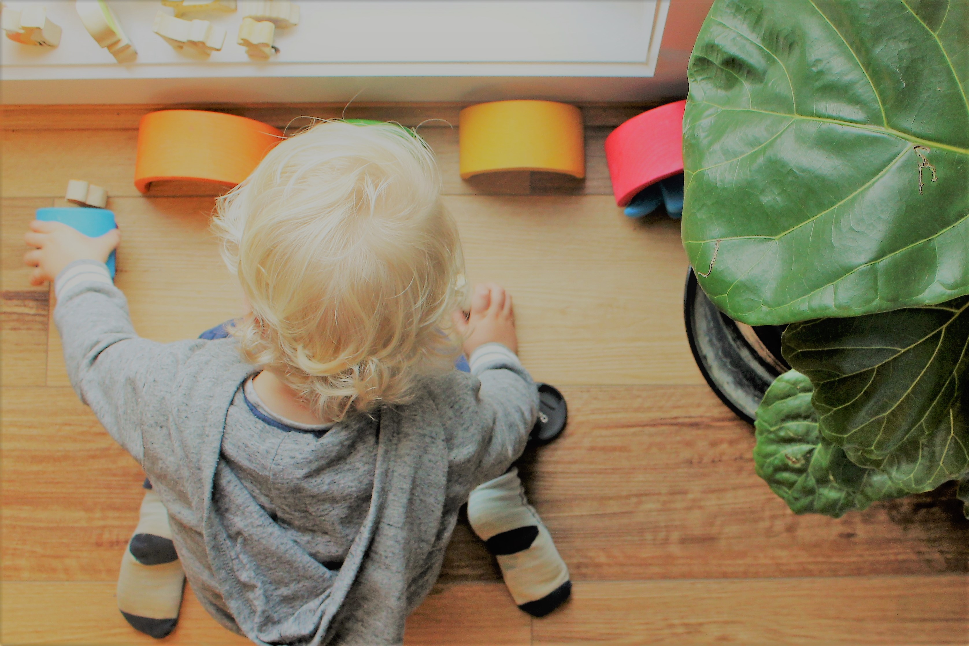 Self-Directed Play in the Waldorf Kindergarten – The Steiner Connection