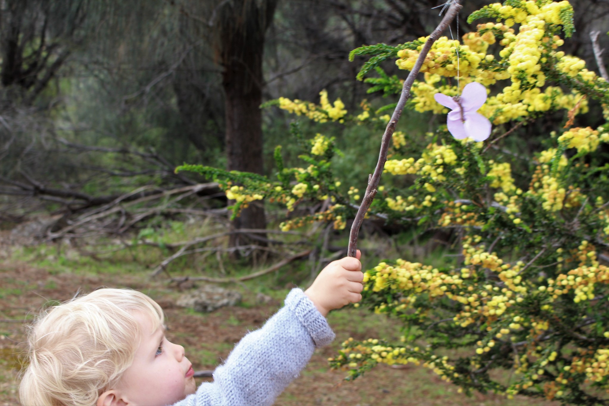 A Quick Guide to Celebrating Spring with Young Children – The Steiner ...