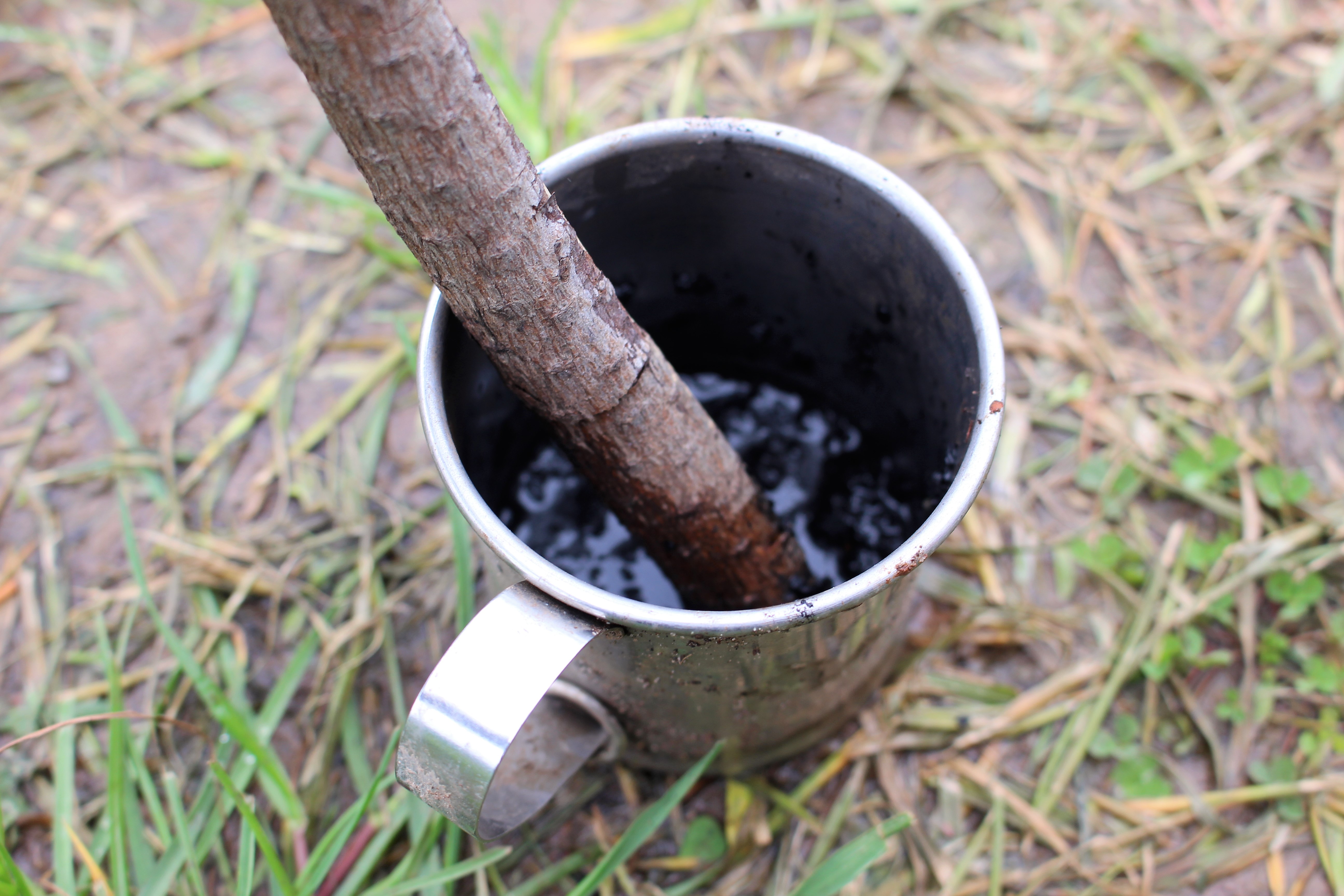 Nature Play with Toddlers and Making Charcoal Paint – The Steiner ...
