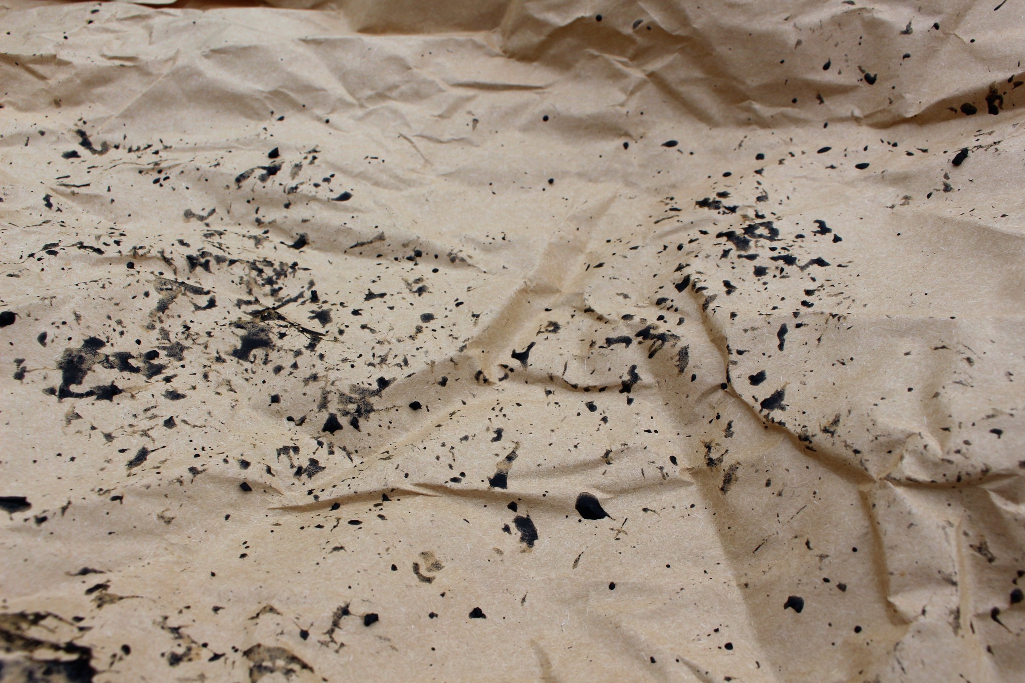 Nature Play with Toddlers and Making Charcoal Paint – The Steiner ...